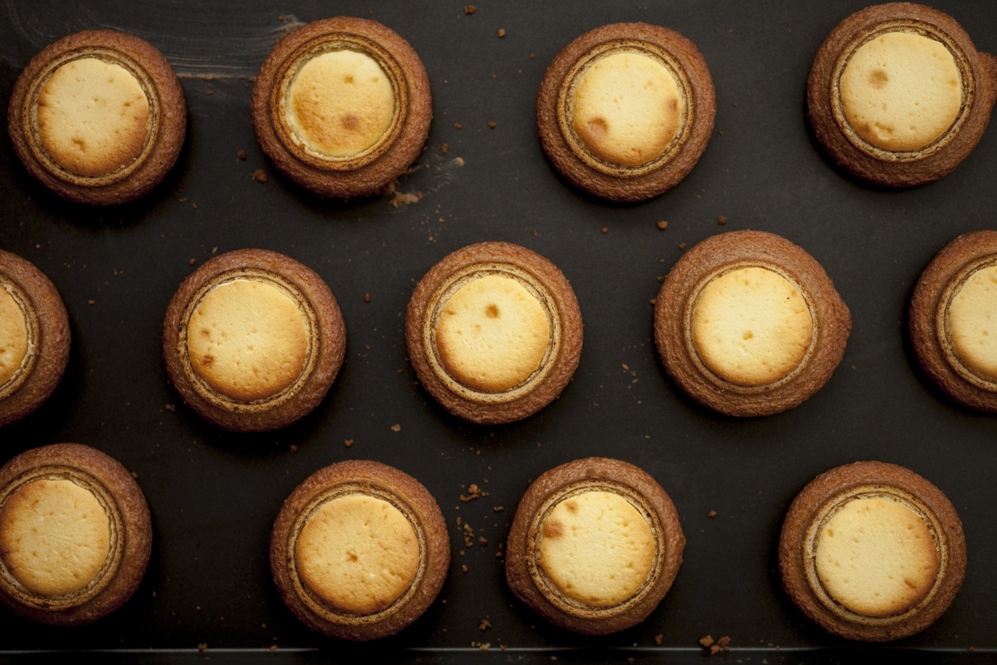 The baumについて – the BUAM